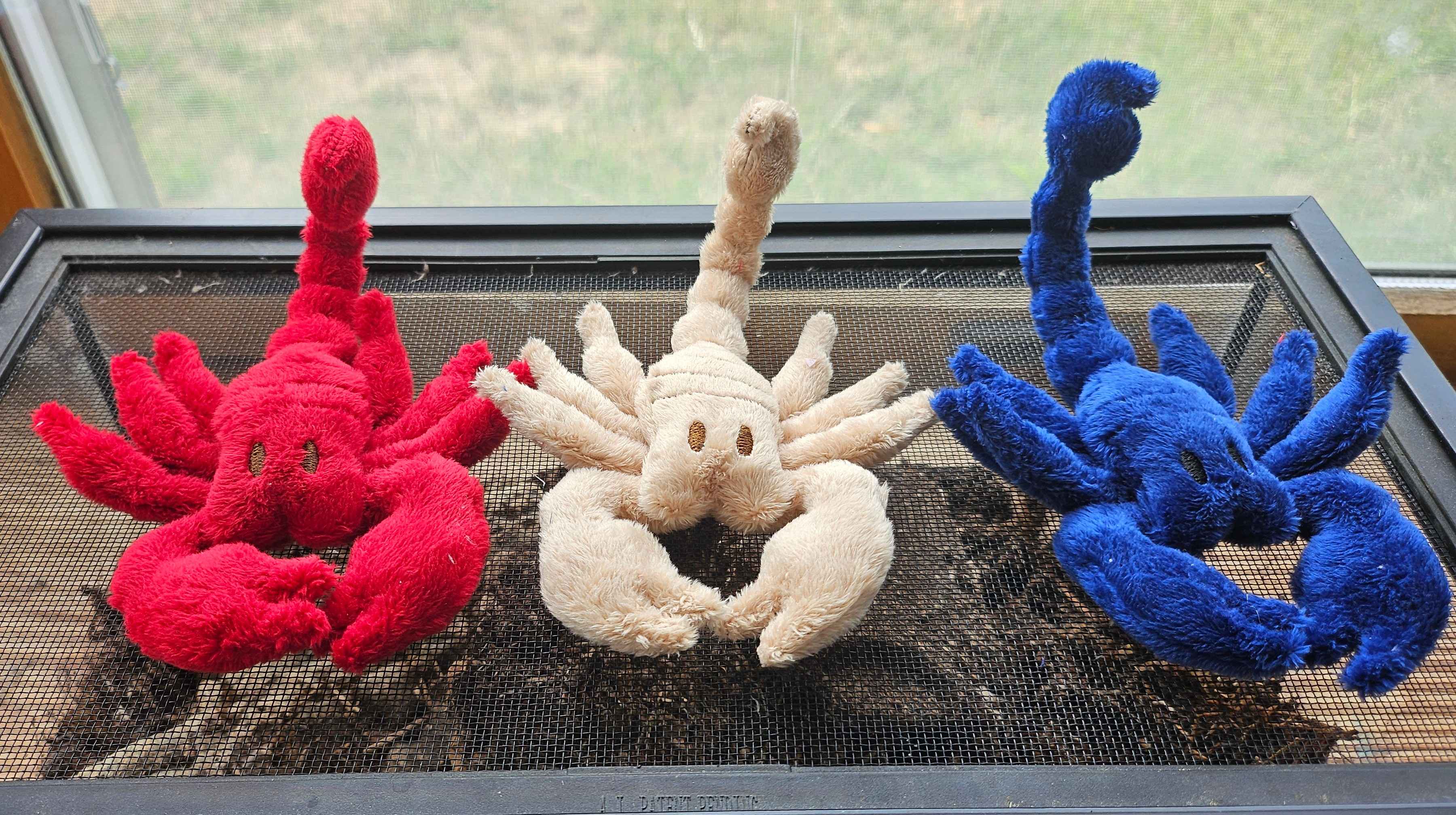 Scorpions – Little Sproutling Nursery