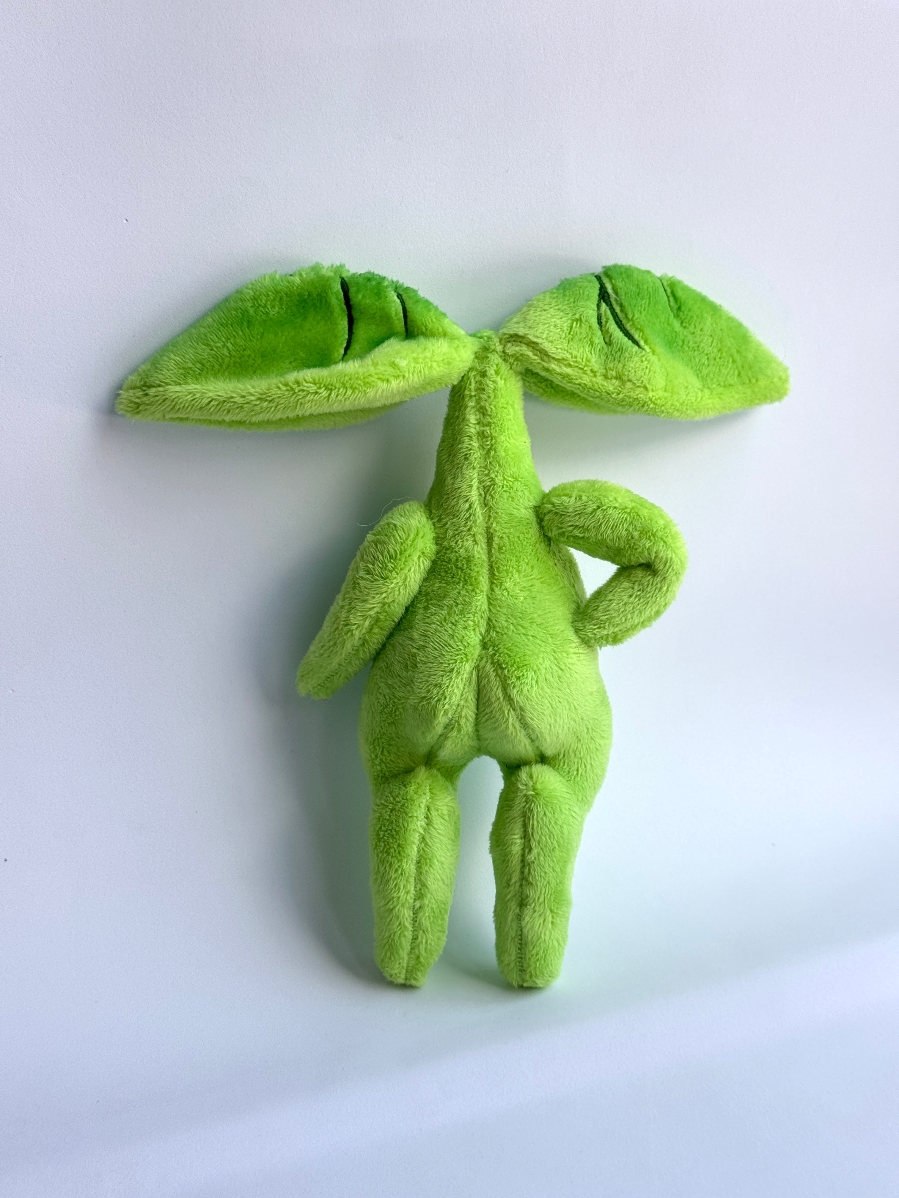 Basil Sproutling – Little Sproutling Nursery